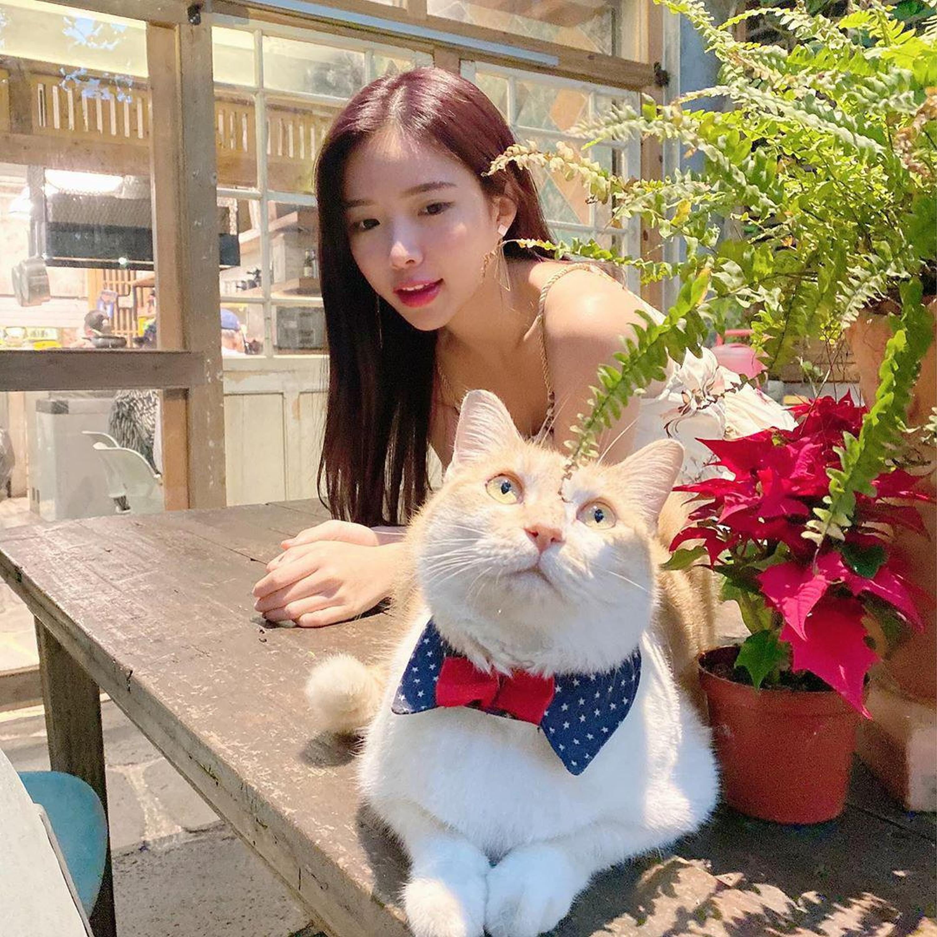 【網路蒐集】童顔小姐姐deejayamberna twitter圖集【60P】 - 貼圖 - 絲襪美腿 - R18成人站-流量密碼